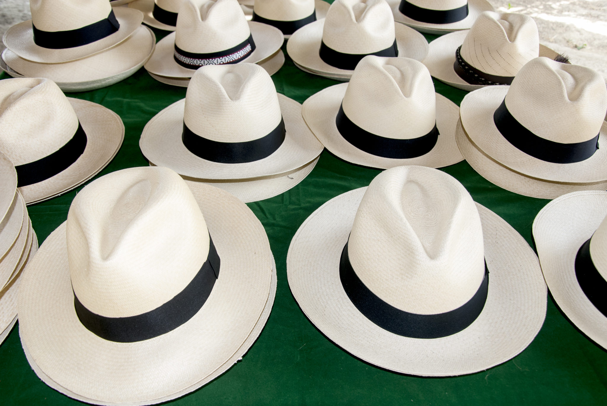 Learn More Panama Hats Depot