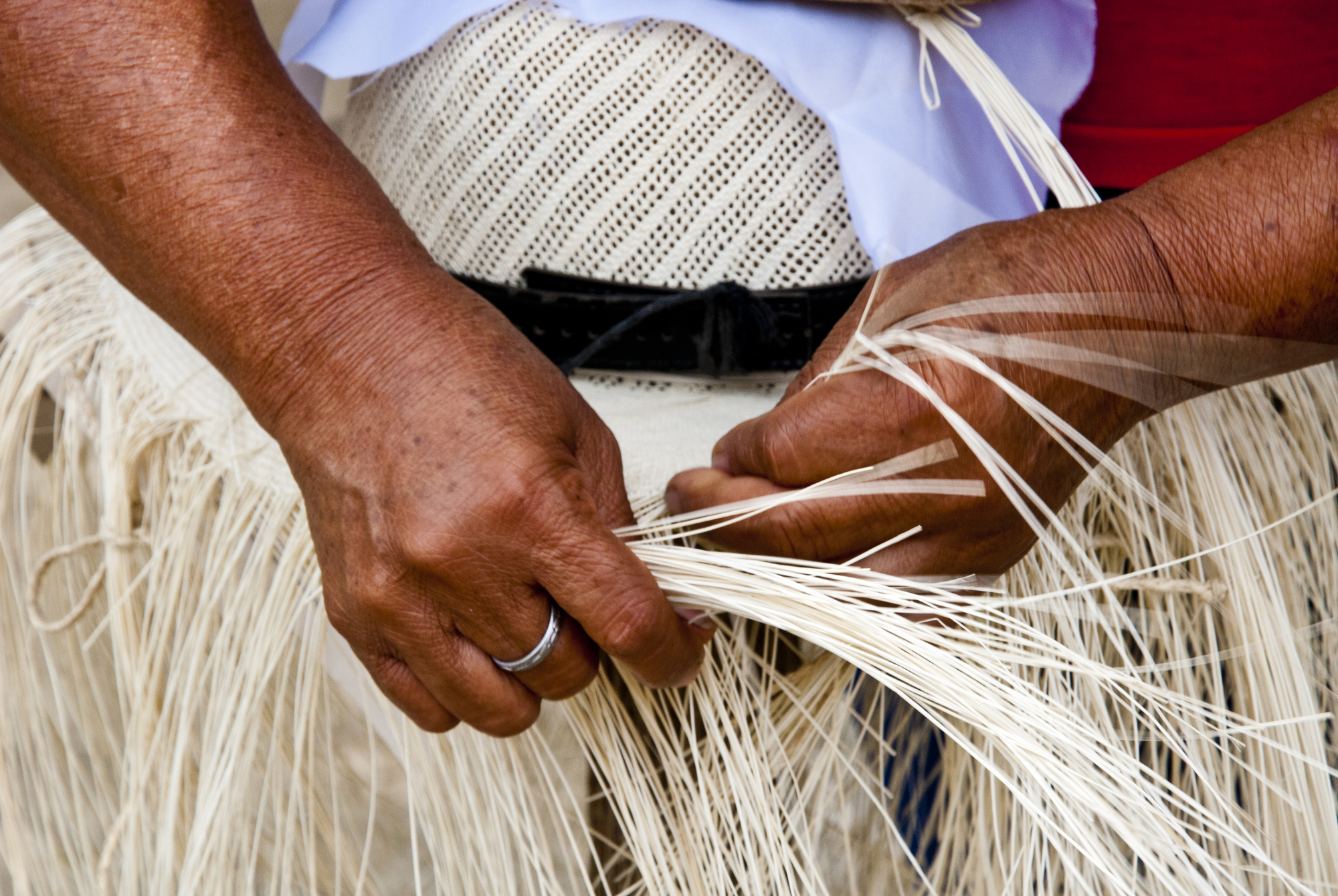 Learn More About Authentic Panama Hats